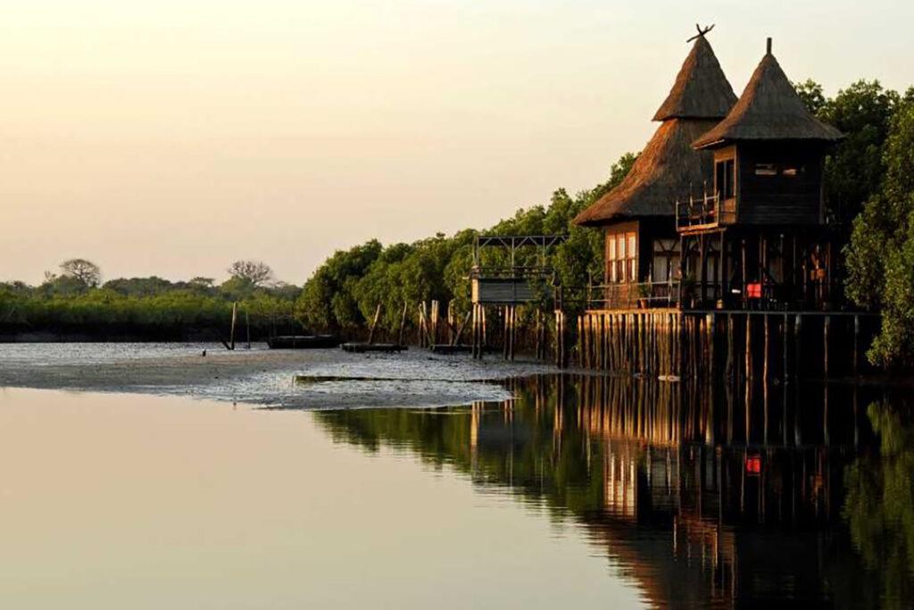 Jinack Island and Niumi National Park Visit - Omi Tours Gambia